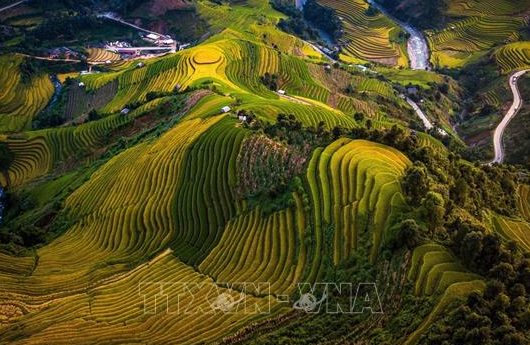 Mu Cang Chai terraced fields receive Special National Heritage ...