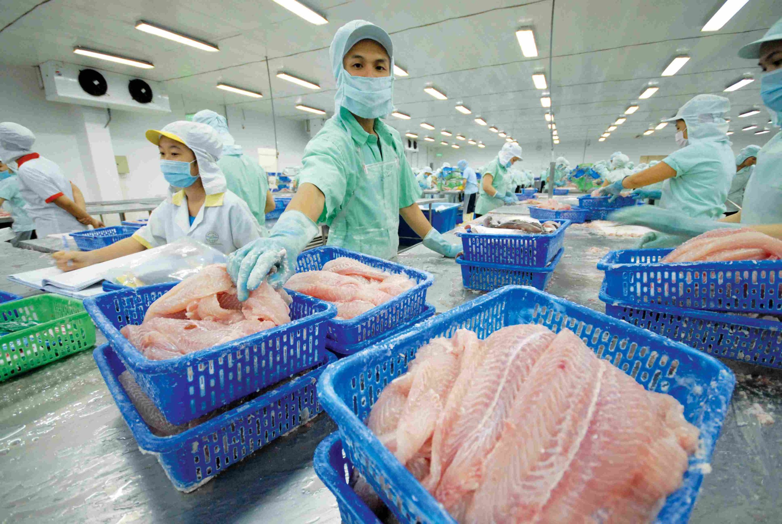 Growing seafood exports pose concern - The Saigon Times