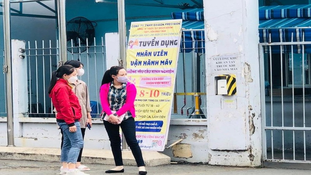 Employment slumps in the last quarter of 2022 - The Saigon Times