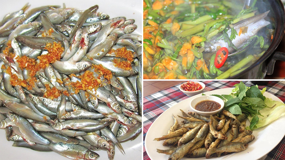 Linh fish – The specialty of Mekong Delta’s flooding season - The ...