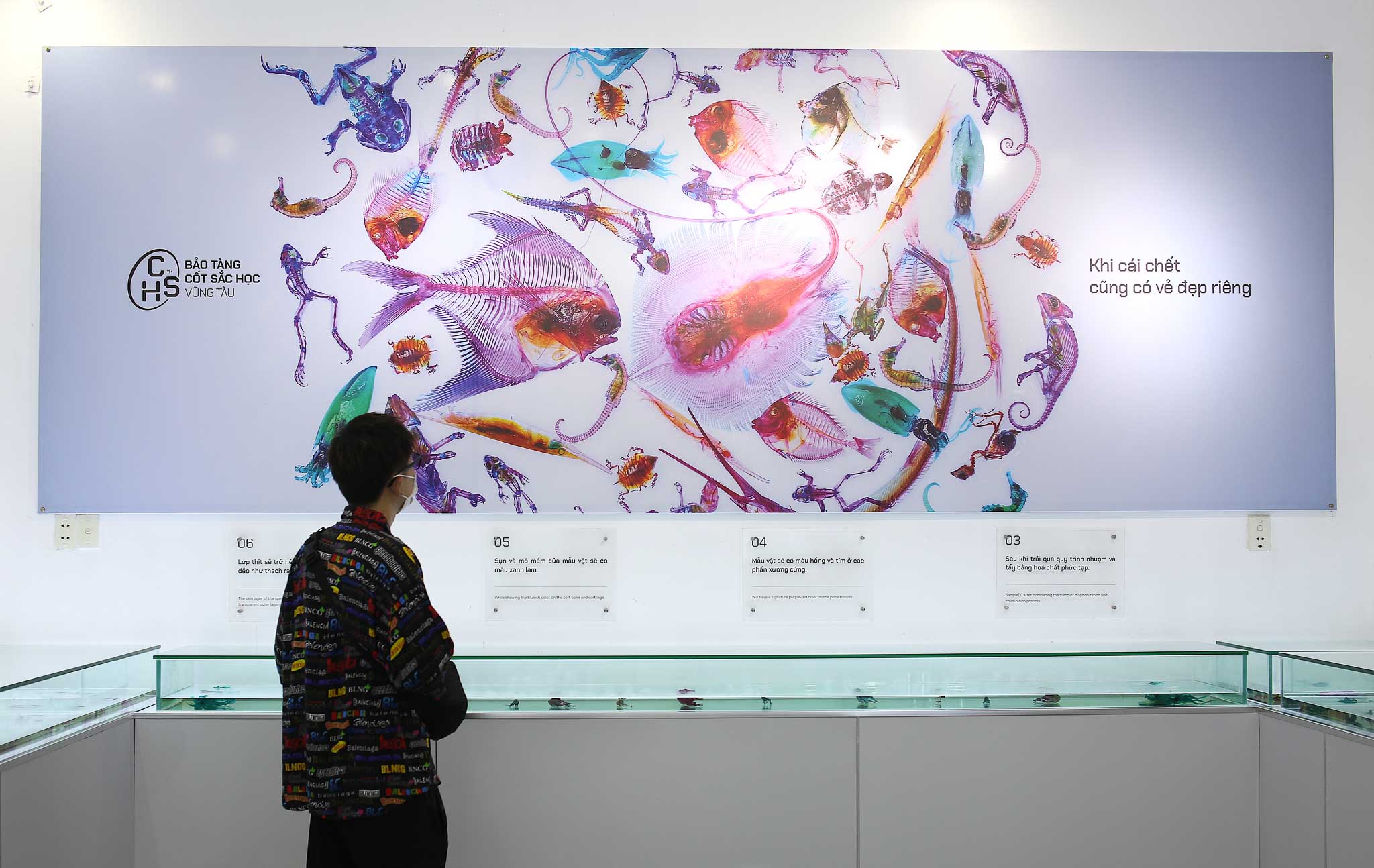 Exploring the art of dyeing dead creatures - The Saigon Times