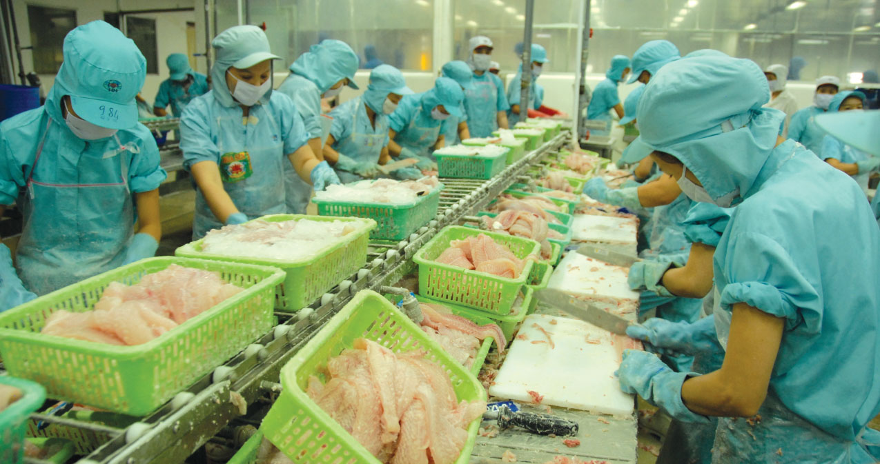 Seafood exports reach US$10 billion in 2024 - The Saigon Times