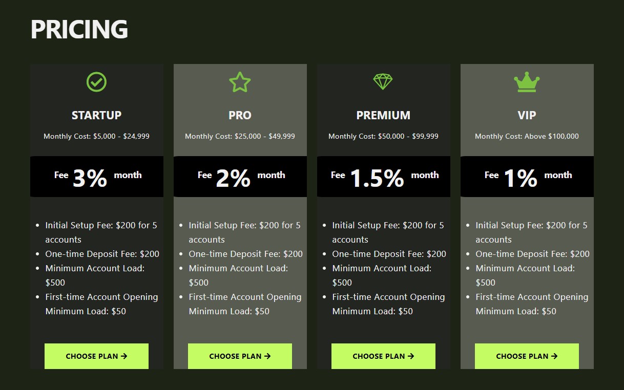 Unlock Facebook Advertising Success with NEMI Ads: The Top Provider for ...