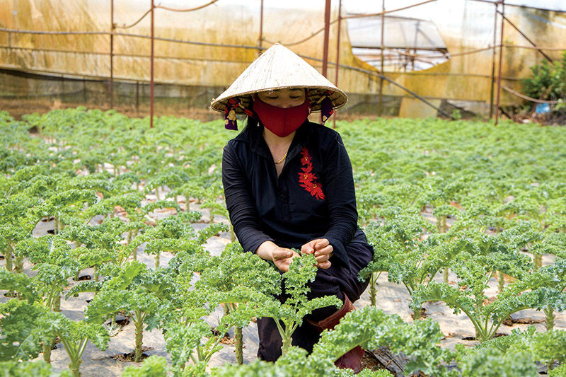New policy offers 70% unsecured loans to green agriculture projects ...