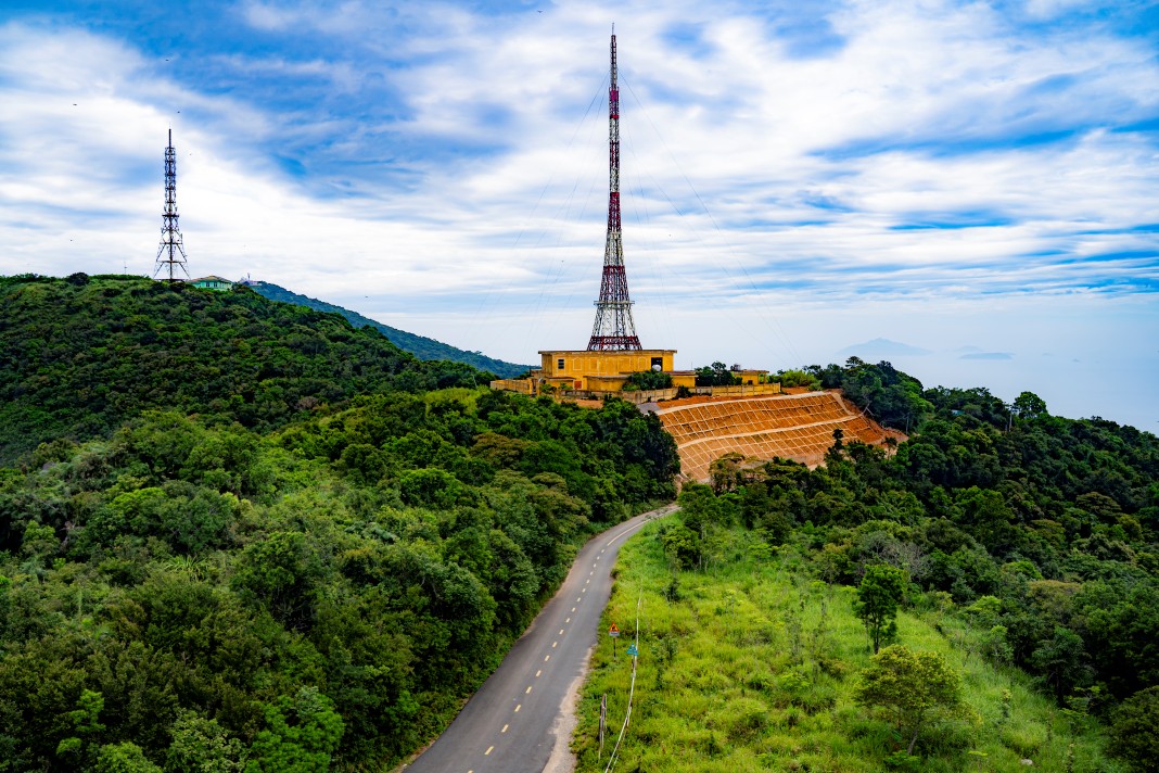 Son Tra Peninsula: Danang’s emerald sanctuary - The Saigon Times