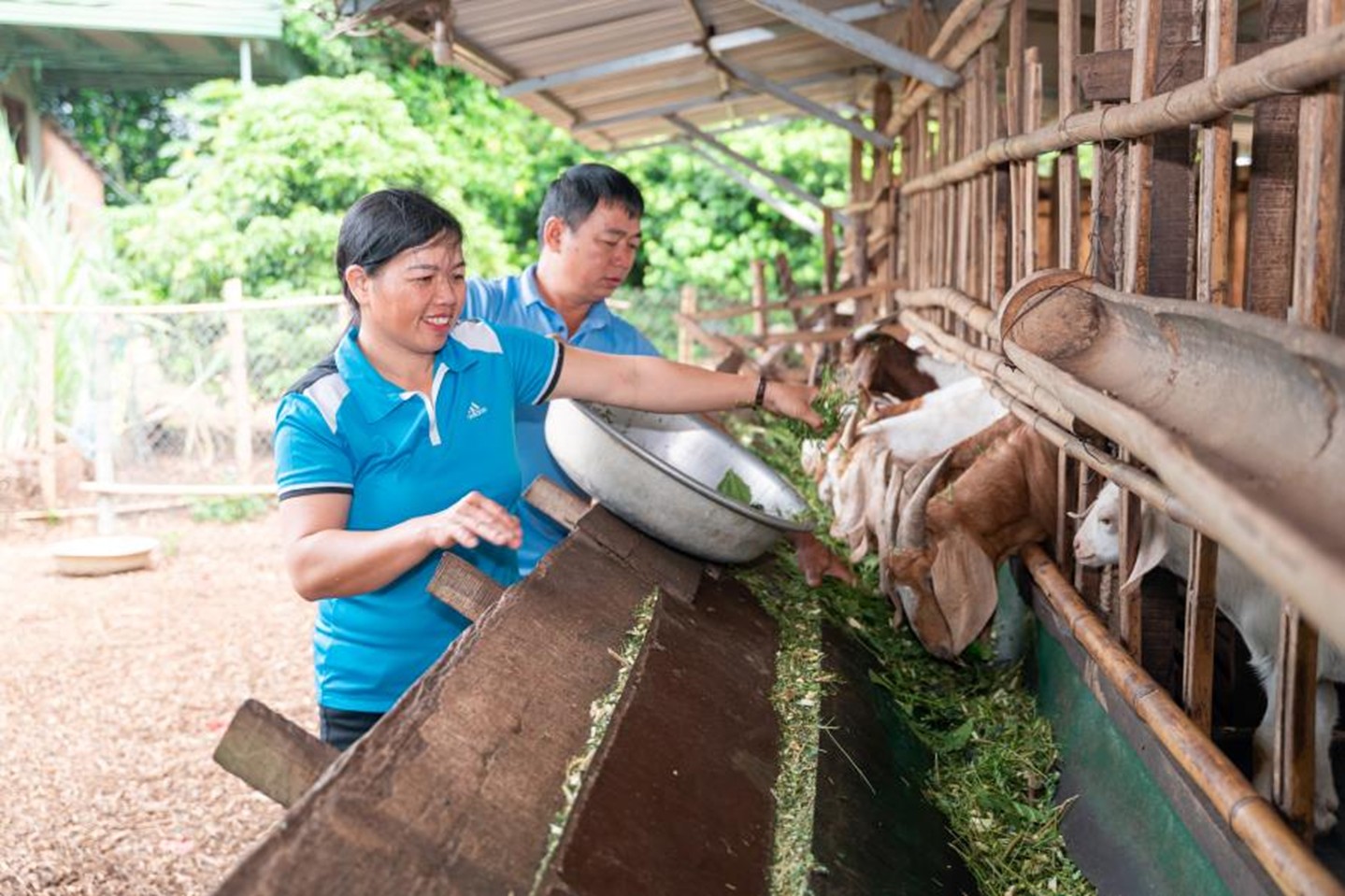 Cargill’s lasting impact in Vietnam: Livelihoods, education, and ...
