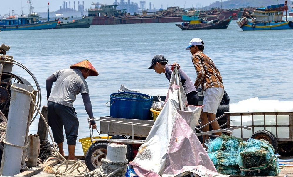 Vietnam urges U.S. to reconsider seafood import suspension - The Saigon ...