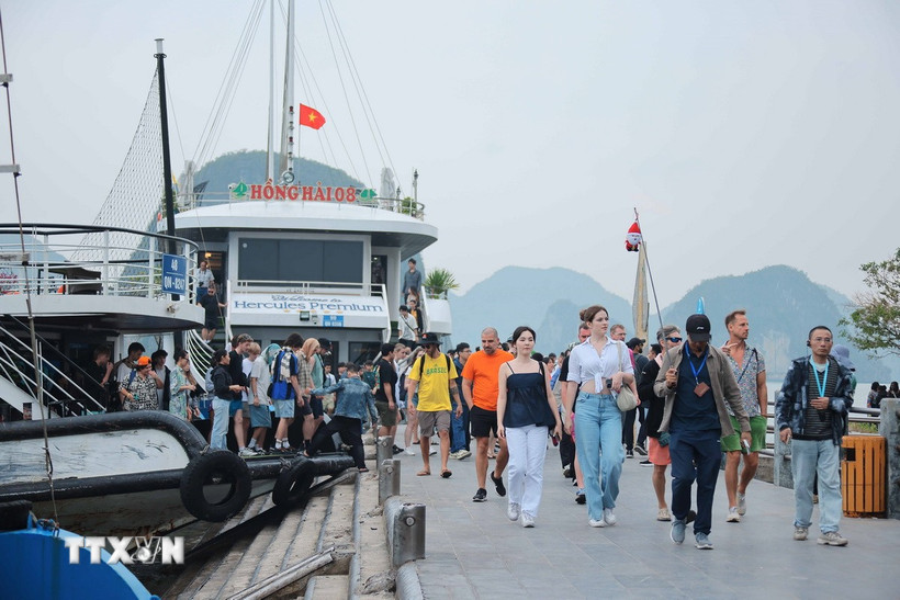 Quang Ninh targets VND58 trillion in tourism revenue - The Saigon Times