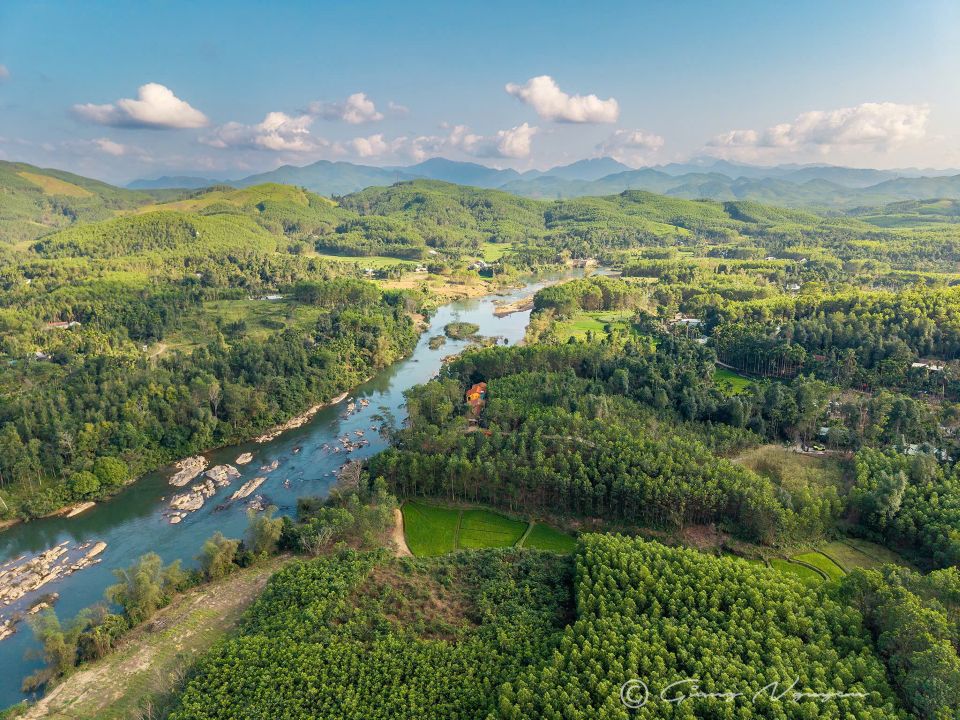 Unassigned forestland hampers Vietnam’s access to green finance - The ...